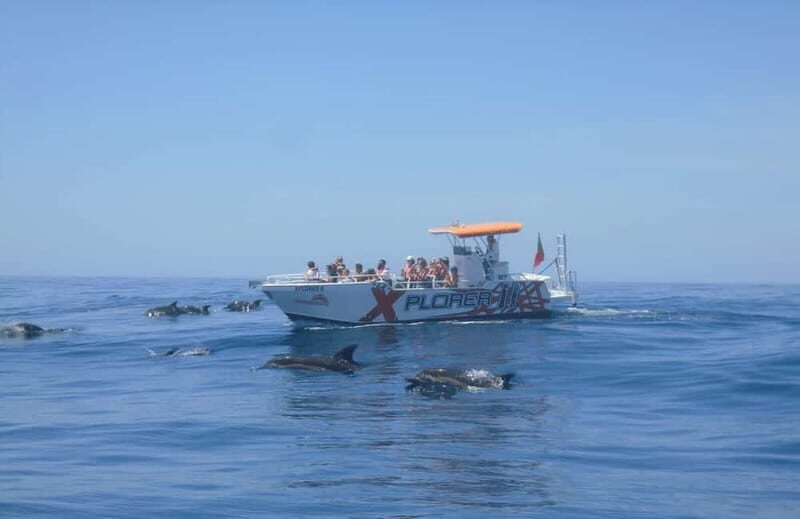 X Plorer Caves (Benagil) & Dolphins Cruise - The Experience of Real Travelers