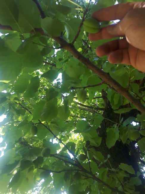 Yerevan: Khor Virap, Garni, Geghard, Echmiadzin, & Zvartnots - Final Thoughts