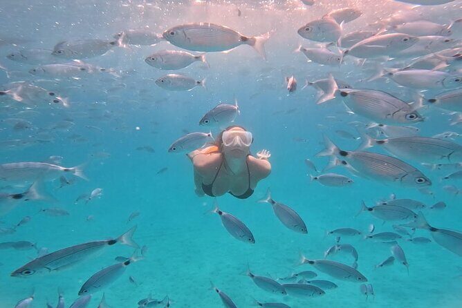 Zadar: Island Luxury Speedboat Tour with Snorkeling - Practical Details and What You’ll Love
