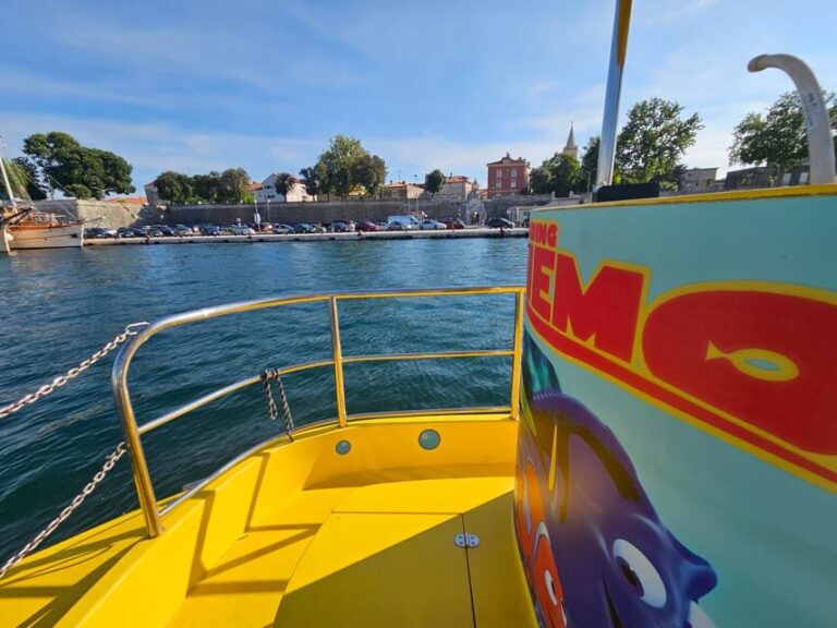 Zadar: Yellow Semi-Submarine Underwater Exploration Tour - Who Will Love This Tour?