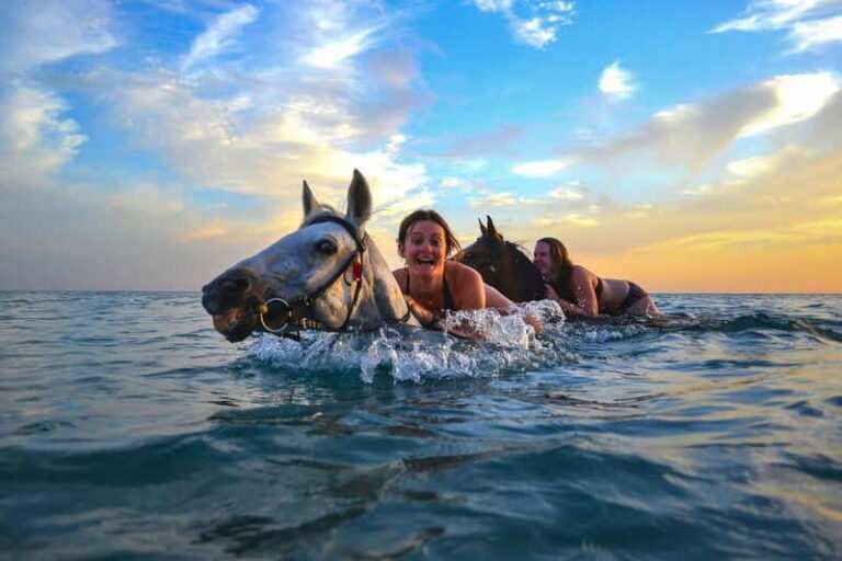 Zakynthos: Yotomu Horse Riding and Swimming Experience - An Authentic Ride Through Zakynthos Natural Beauty