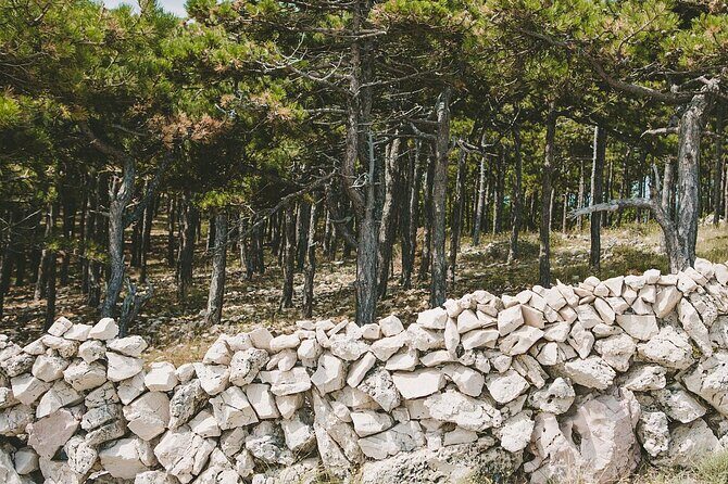 Zipline Experience Krk - Practical Details and Tips