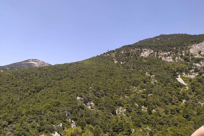 1 Day Parnitha Athens Private Hiking Tour with Hotel Pickup - What the Reviews Reveal: Authentic Experiences and Practical Tips