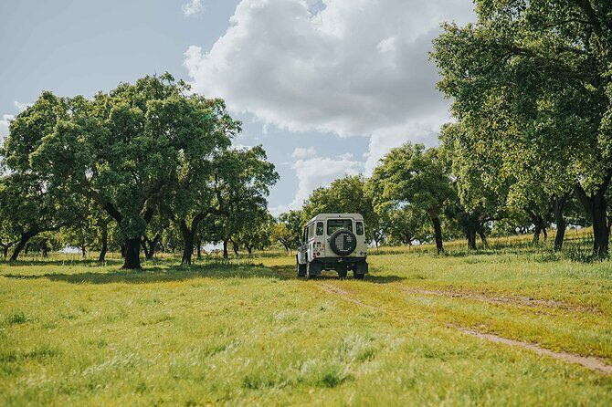 1 Day Wine Tour Around Évora - What You Can Expect From the Experience