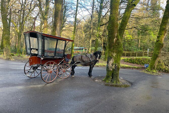 1 Hour Guided Carriage Tour in Killarney National Park - Detailed Itinerary Breakdown