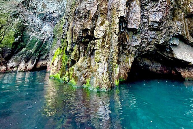 1 Hour Iceland Nature and Wildlife RIB Small Group Guided Safari - Logistics and Practicalities