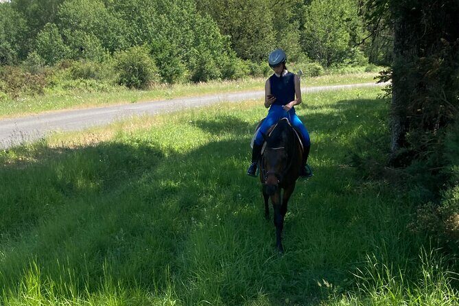 1-hour tourist walk with guide - The Value and Practicalities