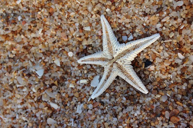 1 or 2 Hour Speed Boat Tour - Ria Formosa - FAQs about the Ria Formosa Speedboat Tour