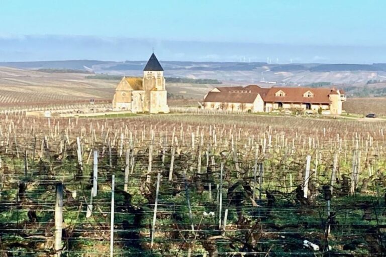 15 Burgundy Wines Chateau Pommard, Chablis Small-Group - What Makes This Tour Stand Out?
