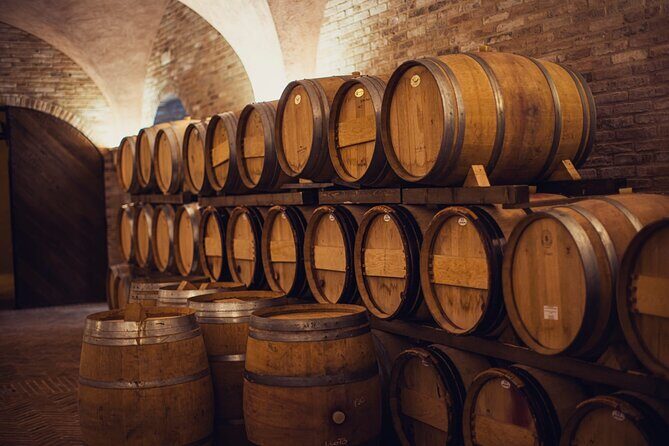 1h30m Wine Tasting and Visit to Val D'Orcia - Authenticity and Customer Experience