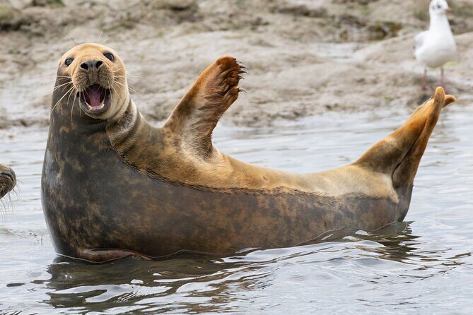 2.5 Hours SightSeeing Tour in Beaulieu River - Who Should Consider This Tour?