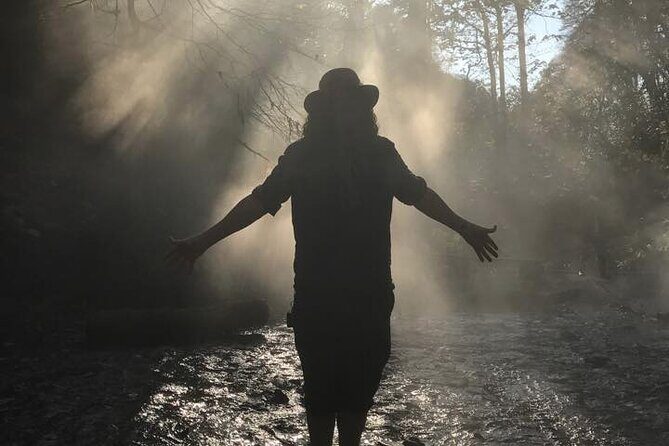 2-Day Tour of King Arthur's Cornwall in Tintagel, Boscastle and Dartmoor from Glastonbury - What We Loved About the Tour