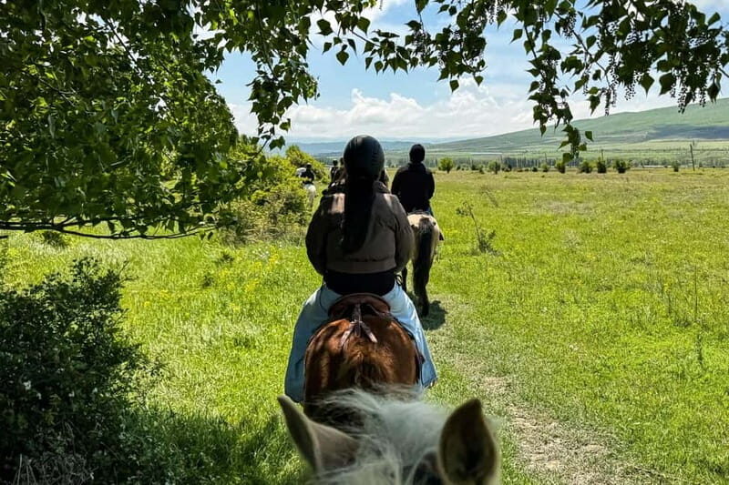 2-hour horse riding tour at Palomino Ranch Near Tbilisi - Why This Tour Works