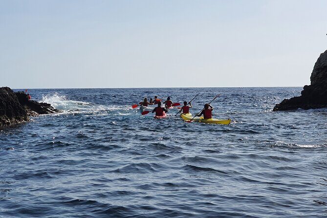 2 Hour Kayak Tour on the Taormina Coast - Pricing and Value