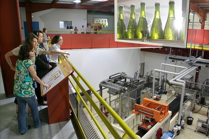 2 Hour Sparkling Wine Tasting and visit in Beaune - An In-Depth Look at the Tour Experience