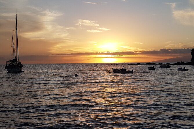 2 hour trip to see whales dolphins puerto colon adeje - Why This Tour Offers Great Value