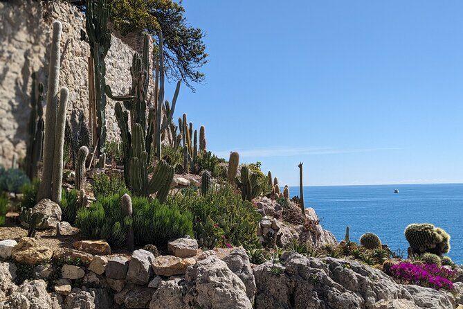 2 Hour Walking Tour in the Old Town of Antibes - The Experience: What Makes It Special