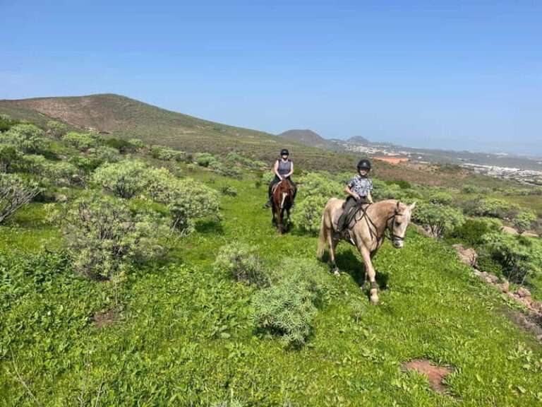 2 hours Green Mountains Horse Riding Tour - Authenticity & Practicality
