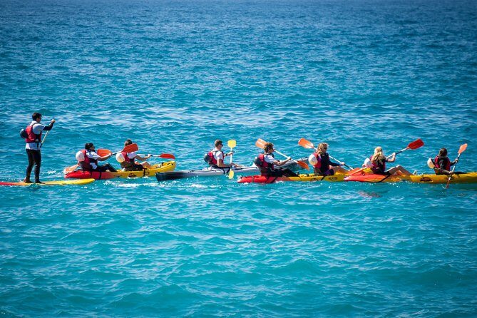 2 Hours Kayak Tour in Cerro Gordo Natural Park, La Herradura - The Value of the Experience