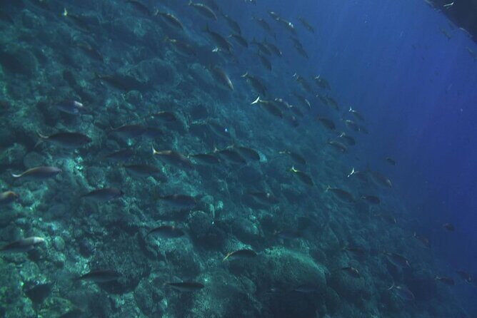 2 Hours Private Boat Tour Isola Bella Taormina Giardini Naxos - Practical Details and What You Can Expect