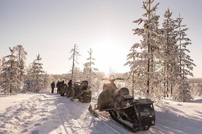 2 Hours Snowmobile Safari to the Levi Nature - Who Will Love This Tour?