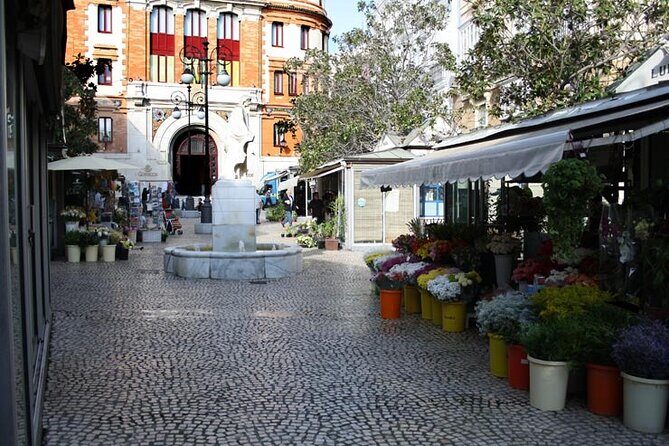 2 Hours Tour around Cádiz: History, anecdotes and curiosities - What to Expect from the Tour