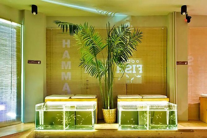 20-Minutes Natural Pedicure with Exotic Fish - A Fresh Take on Foot Care: The 20-Minutes Natural Pedicure with Exotic Fish in Athens