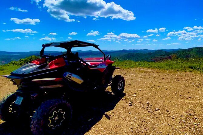 2:30 Hours Tour - The Sum Up: Is This Tour for You?