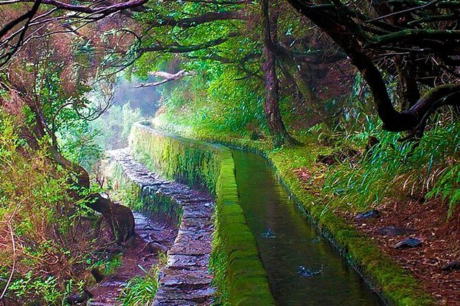 "25 Fountains" Walk / Lost In The Beautiful Forest - Transportation and Group Dynamics