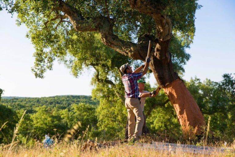 2hr Cork Safari in a Classical Land Rover - Transportation, Group Size, and Overall Value