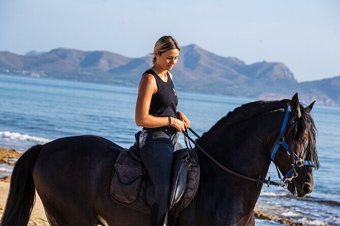 3-Hour Beach Horse Riding to Discover the Beauty of Alcudia Bay - The Horses and Guides