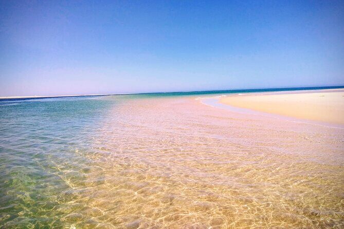 3 Hour Boat Tour in Ria Formosa - In-Depth Look at the Itinerary