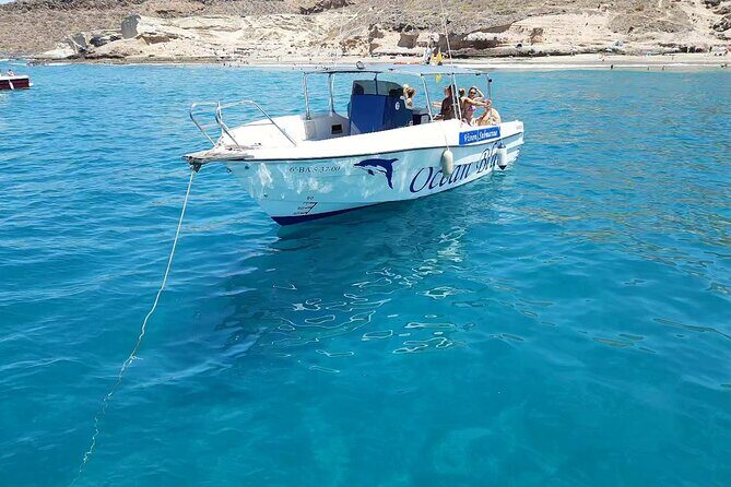 3-hour excursion to Puerto Colón Adeje to see whales - Who Will Love This Tour?