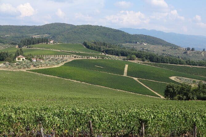 3 Hour Horse Ride to a Castle for Wine Tasting and snack Lunch - Final Words