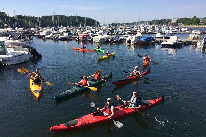 3- Hour Kayak Tour on the Oslofjord - Authentic Insights from Reviewers