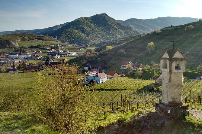 3-Hour Private Hiking Tour to historic places around Spitz in Wachau Valley - Authentic Experiences and Traveler Insights
