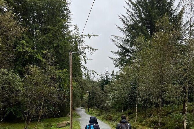 3-Hour Private Tour Hiked through the Bergen Mountains - Practical Details: What You Need to Know