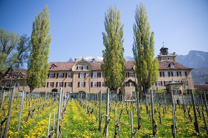 3 Hour Unique Wine Tour - Half Day in Swiss Alps - The Guides and How They Make a Difference