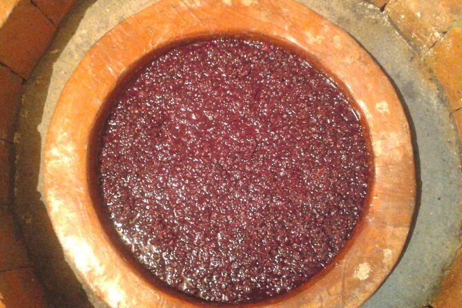 3 Organic Wineries Private Day Trip to Wine Province With Lunch and Tastings - Transportation, Guide, and Overall Comfort