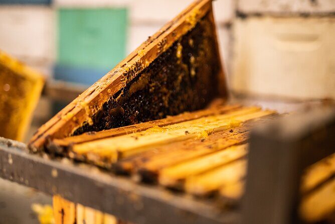 30-Minute Guided Honey Tasting Activity in Melini - What to Expect from the Honey Tasting Tour