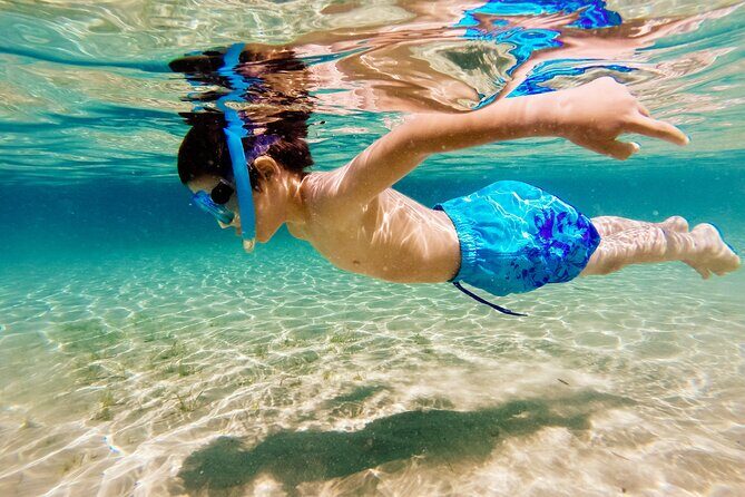 3h Private Cruise + Drinks, Snorkel & Paddle - A Closer Look at the Stops and Highlights