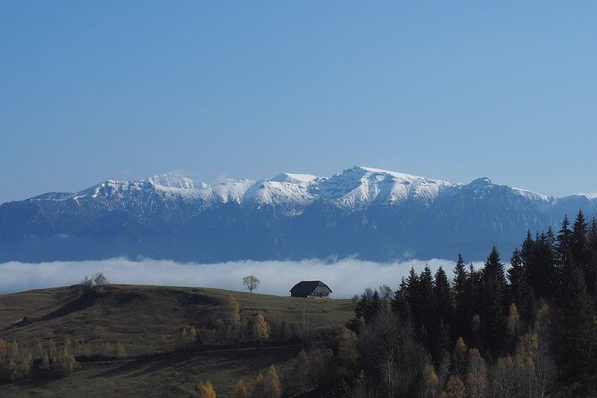 4-Day Carpathian Trek: Bucegi Mountains and Piatra Craiului National Park - Authentic Encounters and Stunning Views