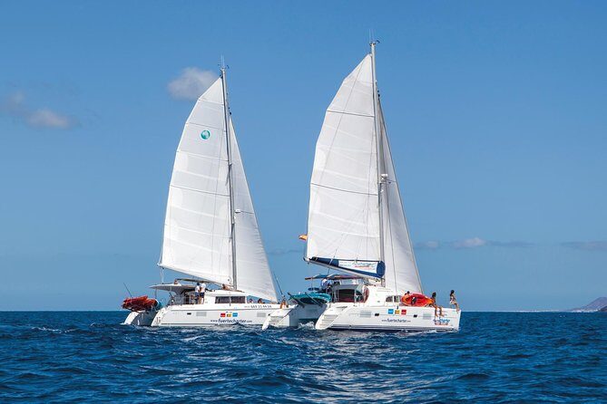 4-Hour Boat Trip to Isla de Lobos from Fuerteventura (Combo Deluxe) - What to Expect from the Itinerary