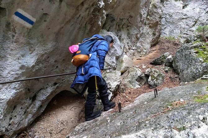 4-Hour Private Alpine Great George at High Wall Mountain from Vienna - Transportation and Logistics