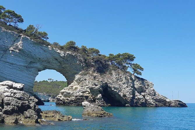 4 Hours Private Guided Boat Tour in Vieste - Practical Details and What to Expect