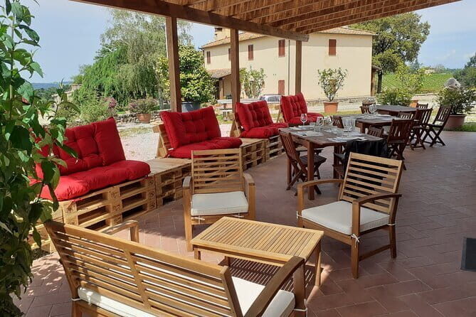 4 WINES TASTING in a Chianti Classico Farm (Visit/tour at the winery included) - The Setting and Atmosphere