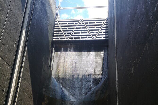 4H Private Boat Trip on the Douro River - Feel the Nature - Who Will Love This Tour?