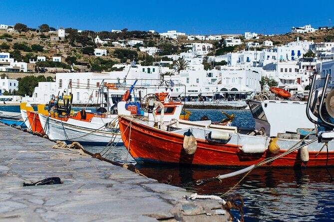 4Hours Mykonos Adventure Walk in Town & Minivan Countryside Tour - Transportation & Guide Experience