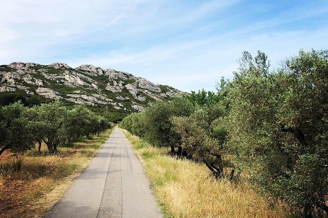 4x4 safari - 4h Alpilles Provence - Departure from Arles - Who Would Love This Tour?