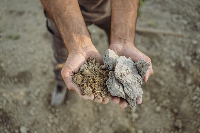 5 Wine Tastings in San Gimignano - The Authenticity and Quality of the Experience
